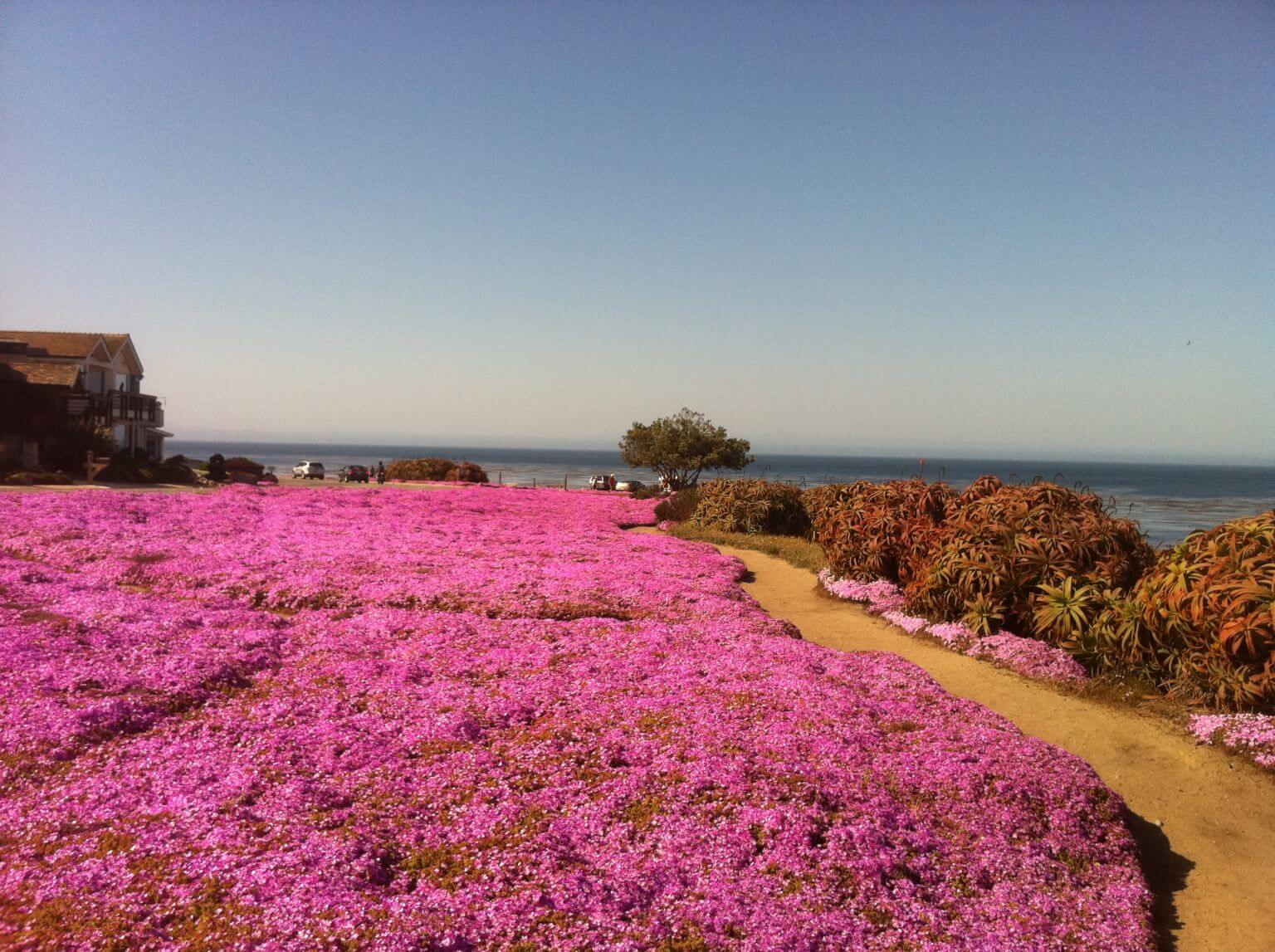 Explore Pacific Grove - Pacific Grove Chamber of Commerce