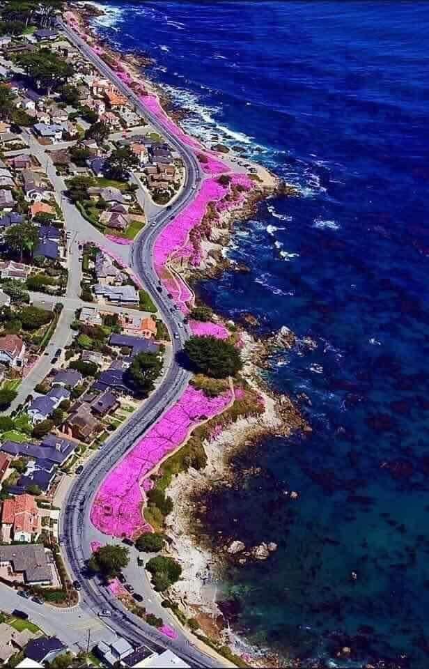Explore Pacific Grove - Pacific Grove Chamber of Commerce