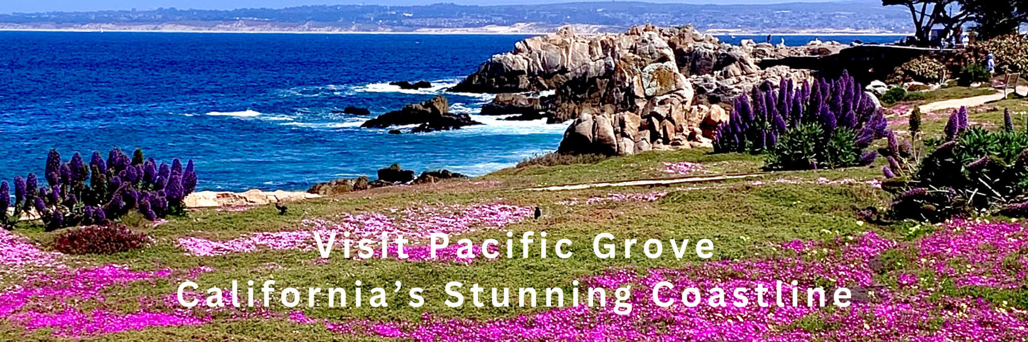 Explore Pacific Grove - Pacific Grove Chamber of Commerce